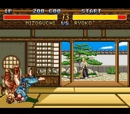 Fighter’s History An In-Depth Review of a Classic Fighting Game ...